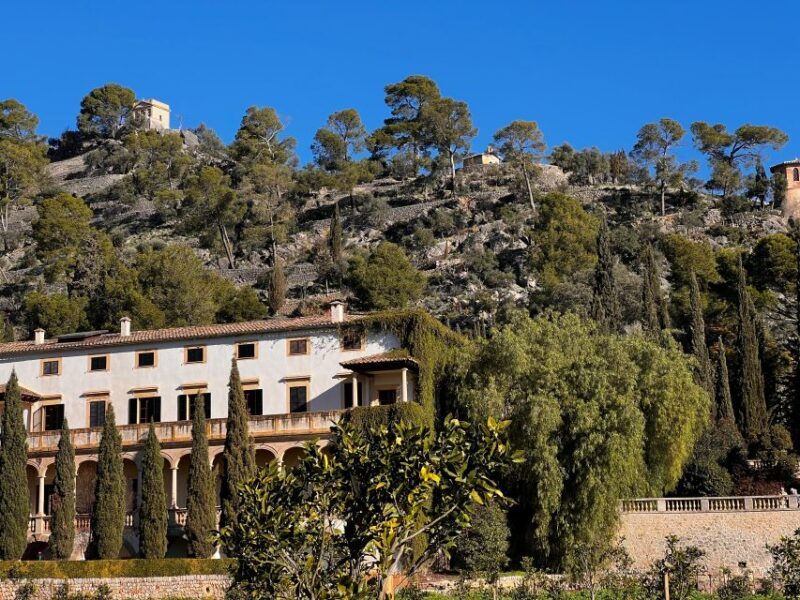 Embrace the enchantment of Mallorca's almond blossom season - An Overall Look at the Tour