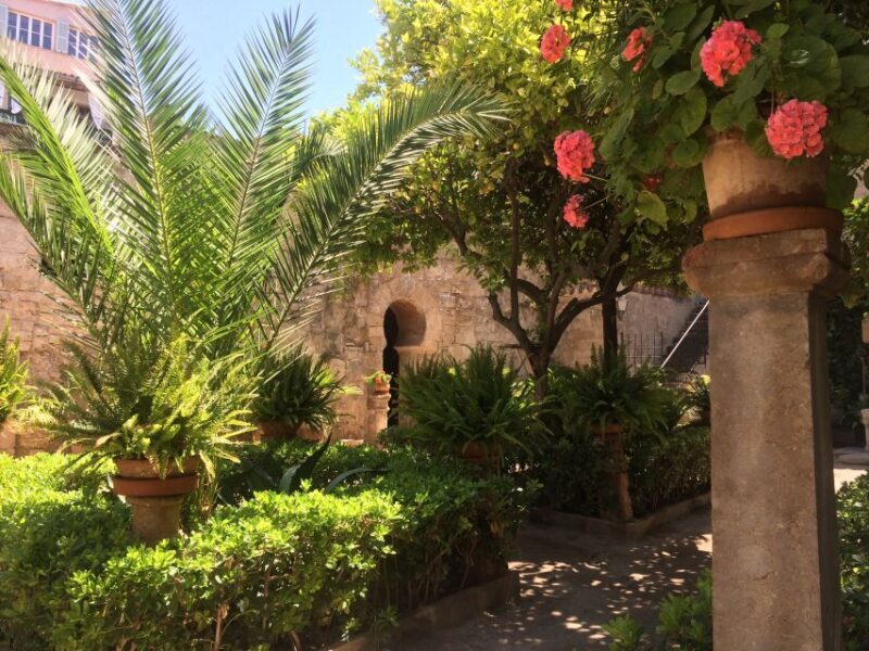 Embrace the enchantment of Mallorca's almond blossom season - Final Return and Reflection