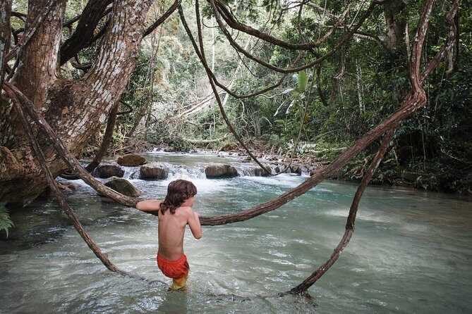 Emerald Falls Canadian Tour & Nature Experience - Who Should Consider This Tour?