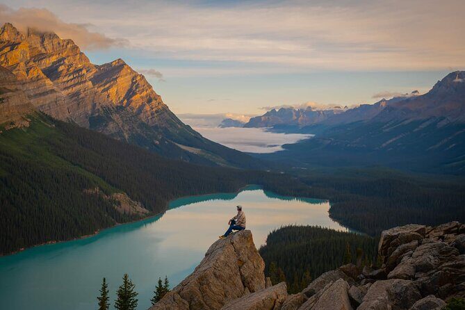 Emerald Lake,Natural Bridge, Peyto Lake Small Group Half Day Tour - Key Points  