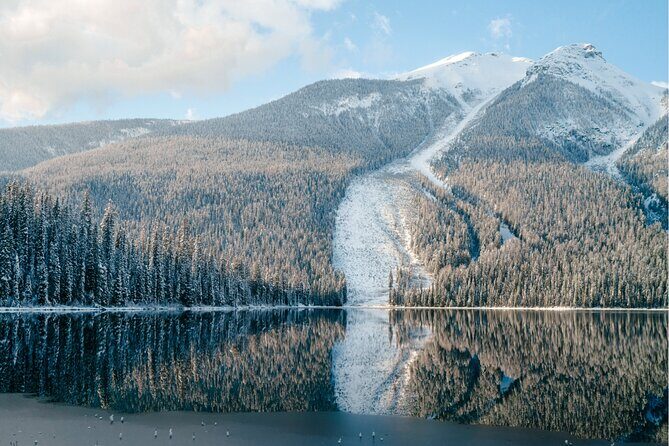 Emerald Lake,Natural Bridge, Peyto Lake Small Group Half Day Tour - Price and Value Analysis