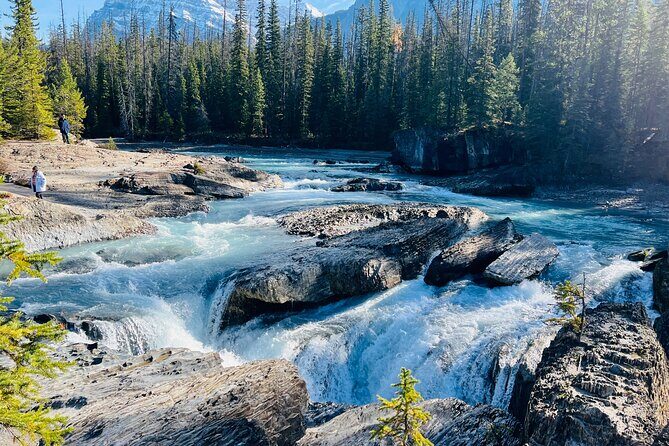 Emerald Lake,Natural Bridge, Peyto Lake Small Group Half Day Tour - Authentic Insights from Past Travelers