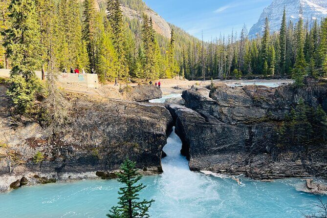 Emerald Lake,Natural Bridge, Peyto Lake Small Group Half Day Tour - FAQs