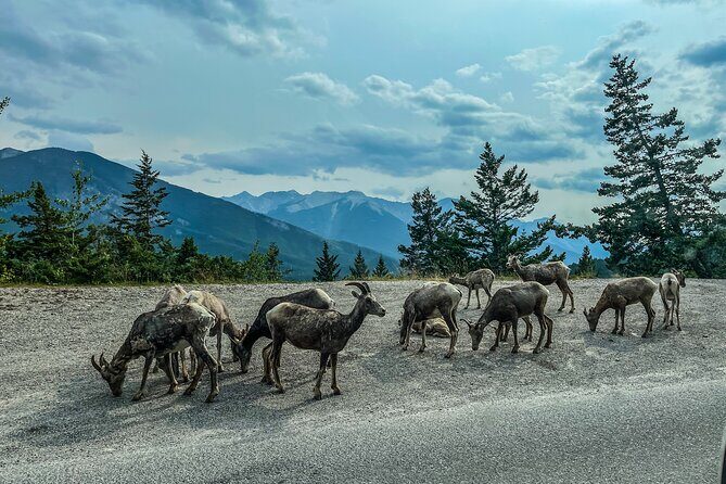 Emerald Lake,Natural Bridge, Wapta Falls & Takakkaw Falls in Yoho - Final Thoughts