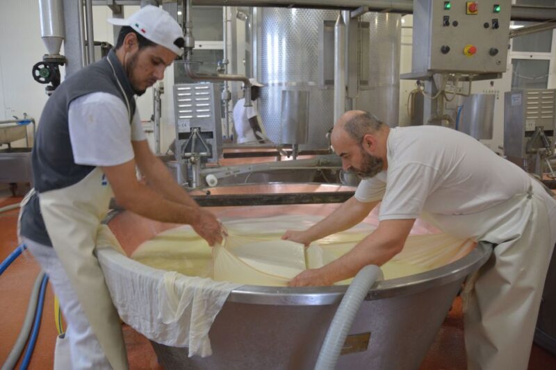 Emila-Romagna: Parmigiano, Prosciutto, Wine & Balsamic Tour - Final Thoughts