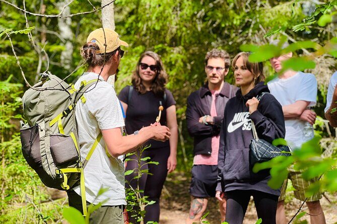 Enchanting Afternoon in Nuuksio National Park with Campfire snack - Key Points