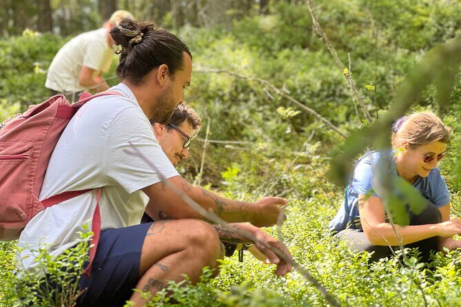 Enchanting Afternoon in Nuuksio National Park with Campfire snack - An In-Depth Look at the Experience
