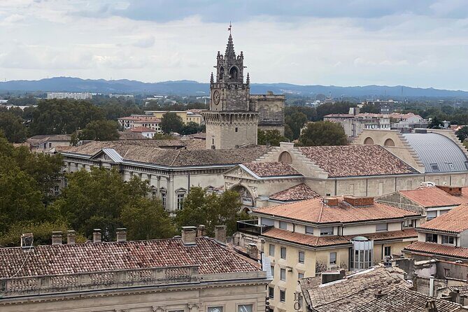 Enchanting Historical Walking Tour in Avignon - Who Will Love This Tour?