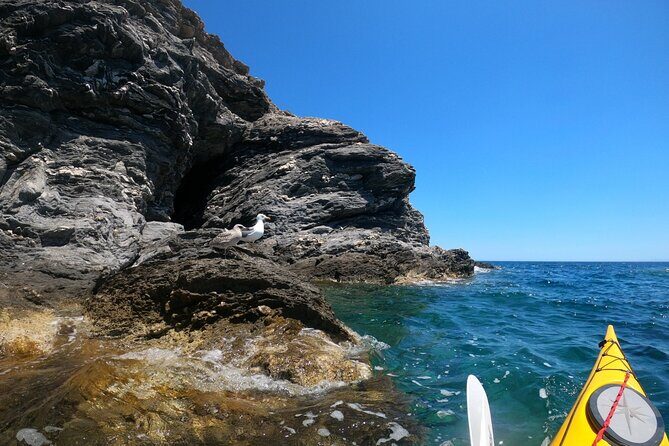 Enchanting Semi Private Kayaking Tours in Milos - Kalamos Beach and Underwater Hot Springs