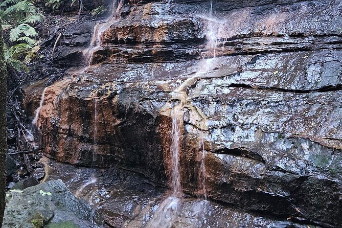 English or German Luxury Private Blue Mountains Tour from Sydney - What You Can Expect from the Experience