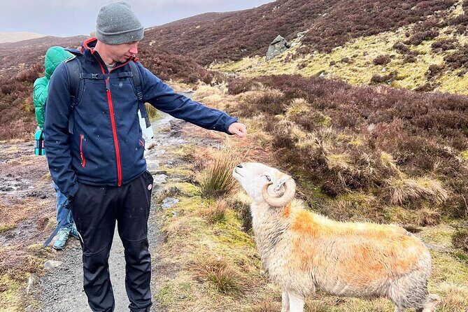 English Speaking Homestay Exploring Edinburgh and National Parks - What Makes This Tour Stand Out?