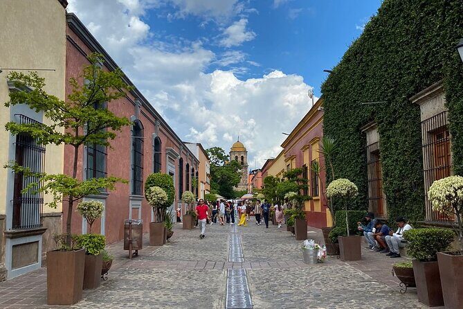 Enjoy a full day on the Tequila and Amatitan route - Final Thoughts