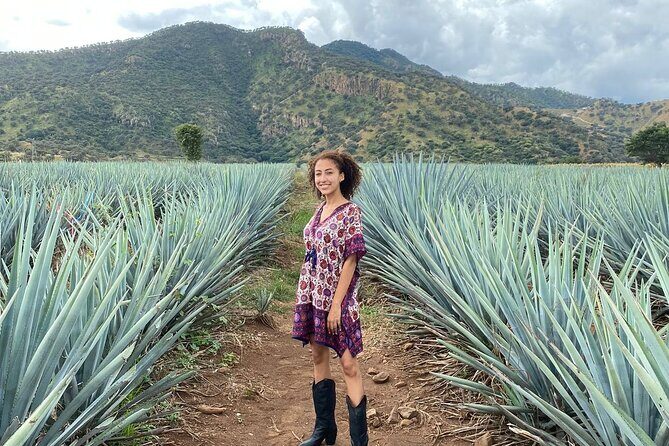 Enjoy a full day on the Tequila and Amatitan route - FAQ