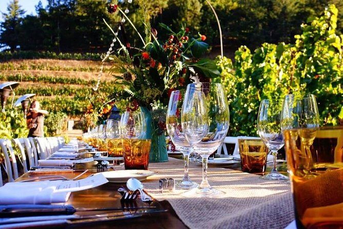 Enjoy a meal with wine tasting in the vineyard of Podere Casanova - Enjoy a meal with wine tasting in the vineyard of Podere Casanova