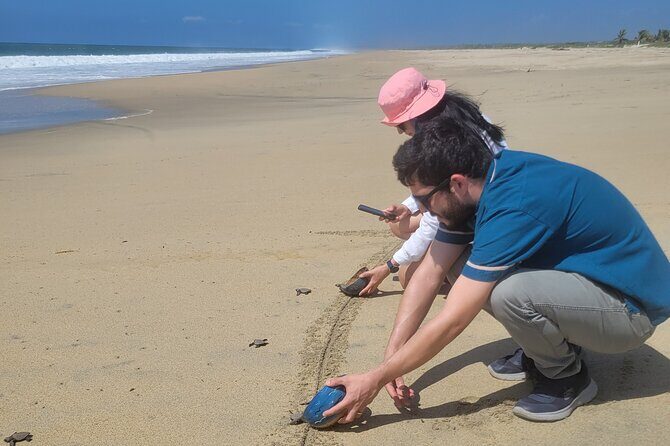 Enjoy Puerto Escondido with Beach and Nature from Oaxaca - Authentic Experiences and Traveler Insights