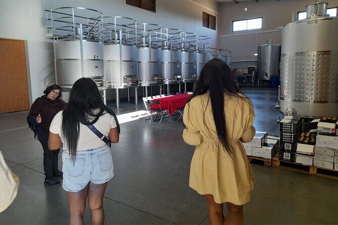 Enjoy The Algarvian Wine Taste & Coast Line Private Van Tour - Authenticity and Review Insights