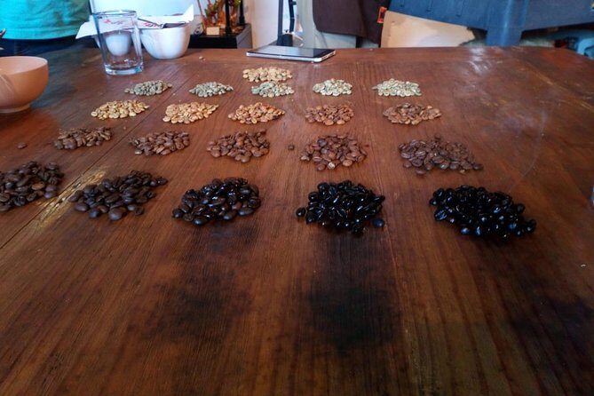 Enjoy the coffee route in Coatepec Magical Town - Conclusions: Is This Tour Right for You?