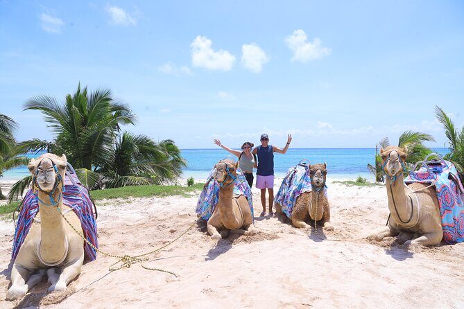 ENJOY UNIQUE CAMEL RIDE in Puerto Morelos with Transportation - Final Thoughts