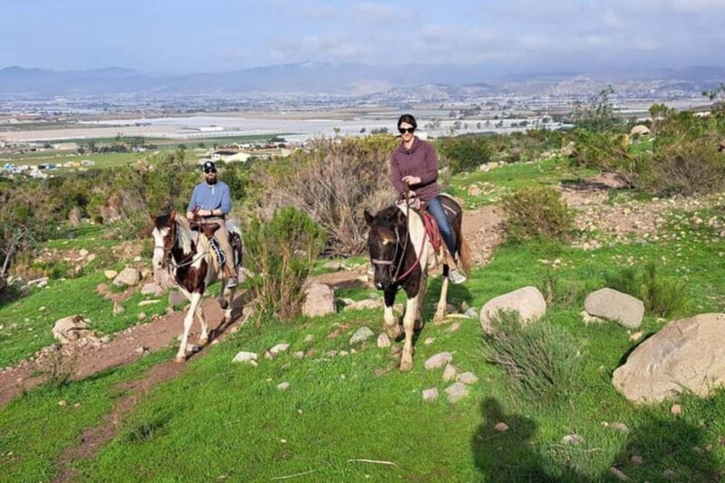 Ensenada: Bajas Hidden Trails: Horseback Ride w/ Ocean View - Key Points