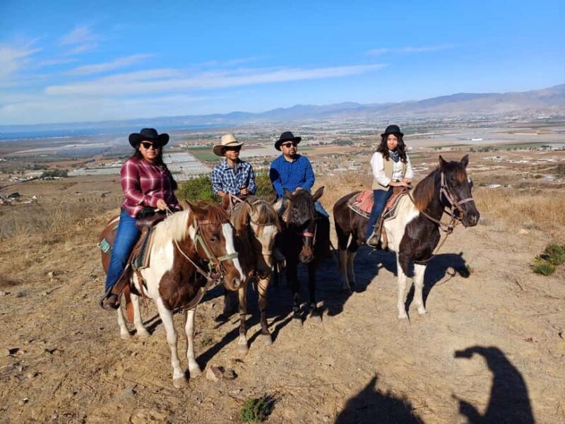 Ensenada: Bajas Hidden Trails: Horseback Ride w/ Ocean View - What’s Included and What You’ll Need to Bring