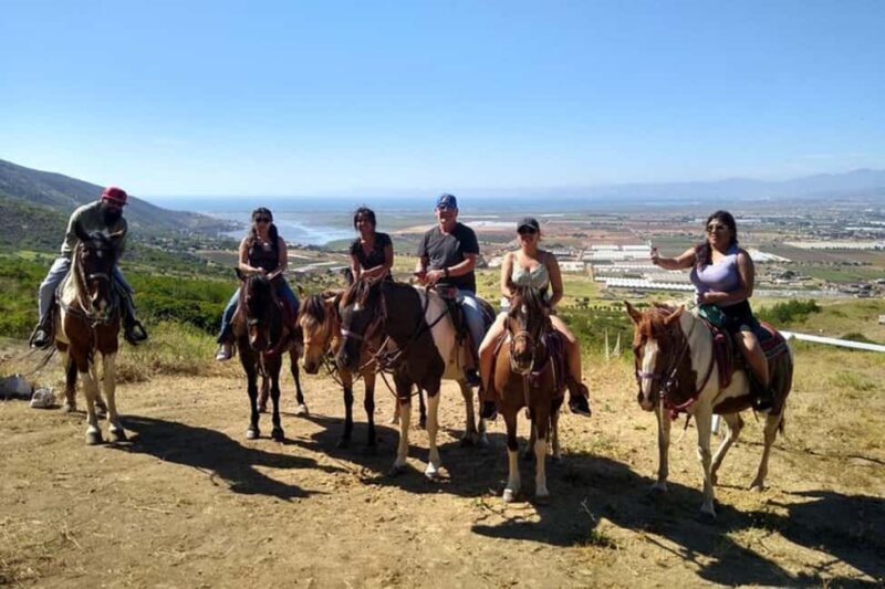 Ensenada: Bajas Hidden Trails: Horseback Ride w/ Ocean View - Transportation and Booking Details