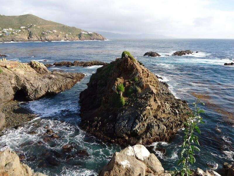 Ensenada: Beach and Bar Experience - Who Is This Tour Best For?