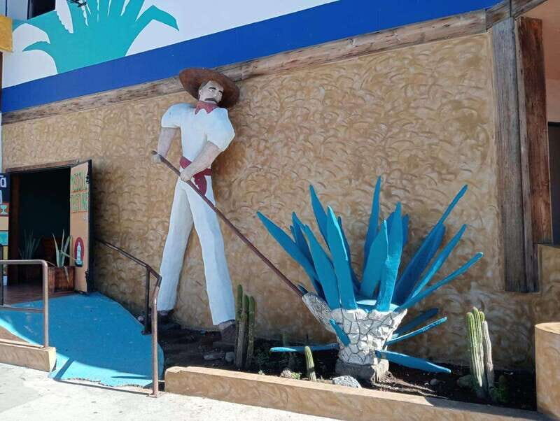 Ensenada: Beach and Bar Experience - FAQ