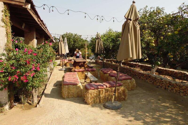 Ensenada: Guadalupe Valley Wine Route Private Tour - Key Points