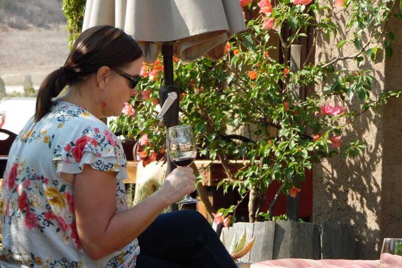 Ensenada: Guadalupe Valley Wine Route Private Tour - Potential Drawbacks to Consider