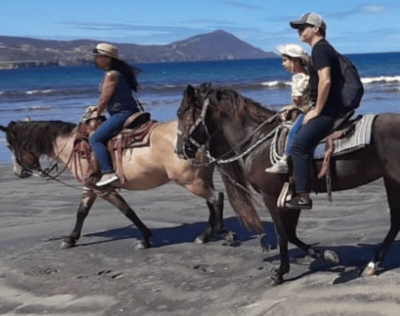 Ensenada: Horseback Riding at Playa Hermosa Beach - Final Thoughts: Who Will Love This Experience?