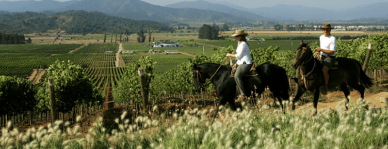 Ensenada: Horseback Riding at the Vineyards - Key Points