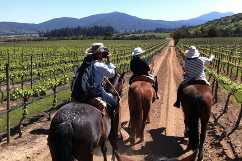 Ensenada: Horseback Riding at the Vineyards - Introduction: What’s Special About this Horseback Ride?