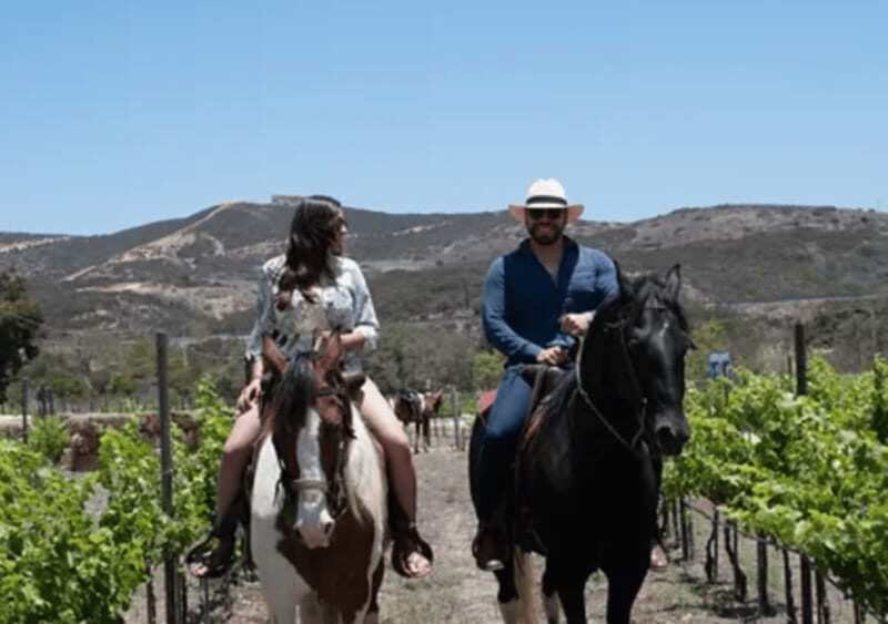 Ensenada: Horseback Riding at the Vineyards - What’s Included and What’s Not