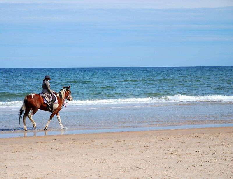 Ensenada: Horseback riding in the beach - Key Points