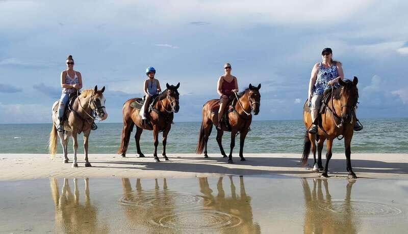 Ensenada: Horseback riding in the beach - Who Will Love This Tour?