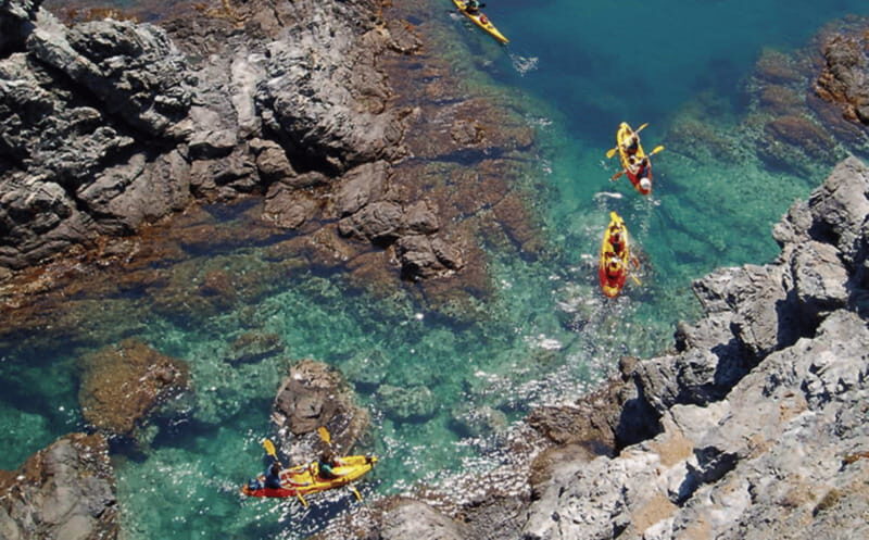 Ensenada: Kayaking at La Bufadora - Key Points  