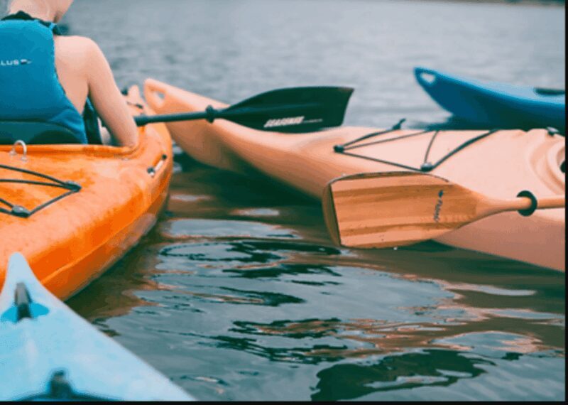 Ensenada: Kayaking at La Bufadora - Practical Considerations