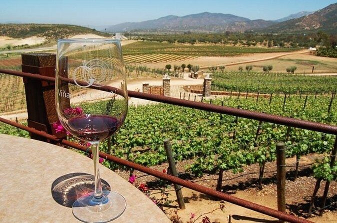 Ensenada, La Bufadora and Guadalupe Valley Private Guided Tour - Who Should Consider This Tour?