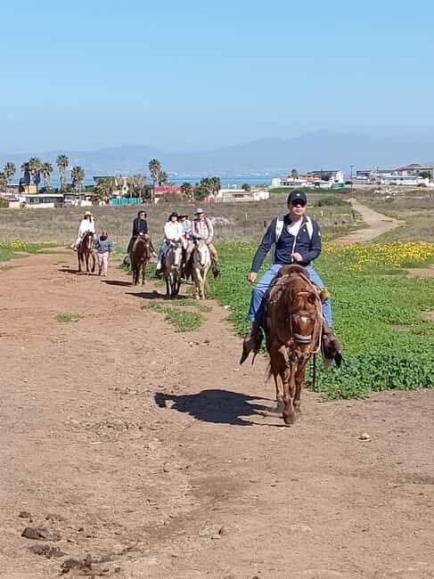 Ensenada: La Bufadora and Playa Hermosa Horseback Riding - The Practicalities: What’s Included and What’s Not