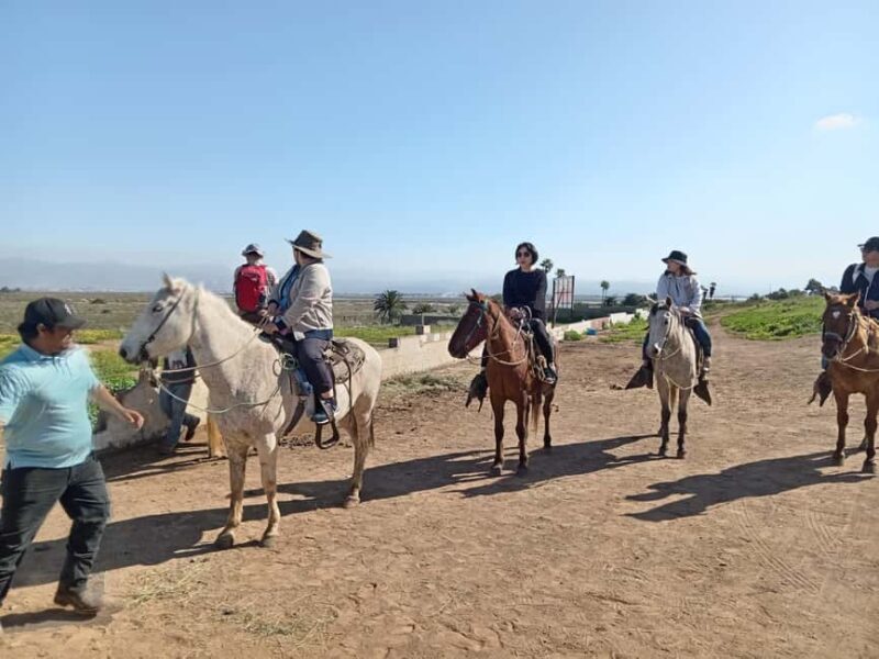 Ensenada: La Bufadora and Playa Hermosa Horseback Riding - The Experience: What’s the Flow?