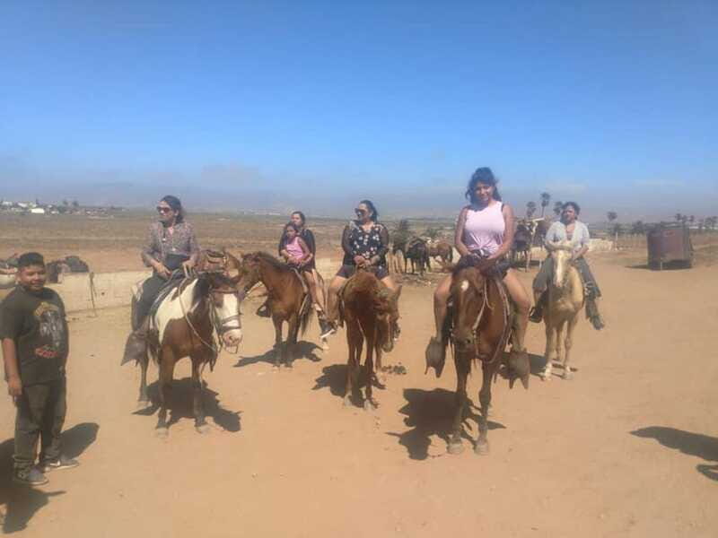 Ensenada: La Bufadora and Playa Hermosa Horseback Riding - Authenticity and Tips from Reviewers