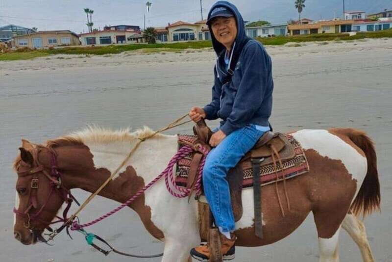 Ensenada: La Bufadora & Beach Horseback Riding Adventure - The Market Experience