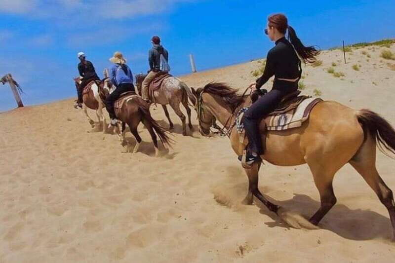 Ensenada: La Bufadora & Beach Horseback Riding Adventure - Who Is This Tour Best For?