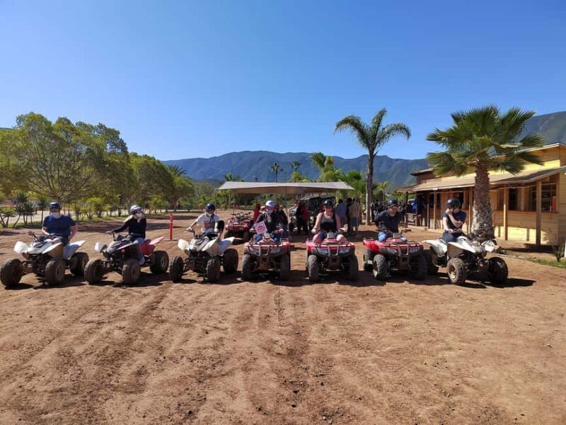 Ensenada: Las Cañadas Campamento ATV Tour with Hotel Pickup - Introduction: The Real Deal on the Las Cañadas ATV Tour  