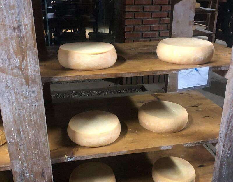 Ensenada: Ojos Negros Valley Cheese and Wine Tasting Tour - Final Thoughts