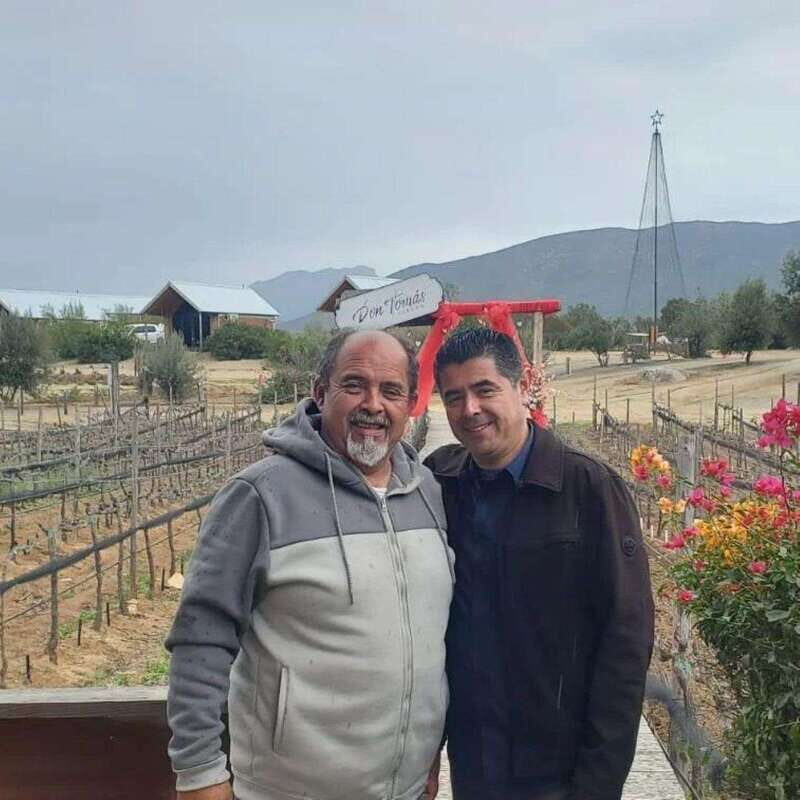 Ensenada: Old Wine Route Tour with 4 Winery Visits - Key Points