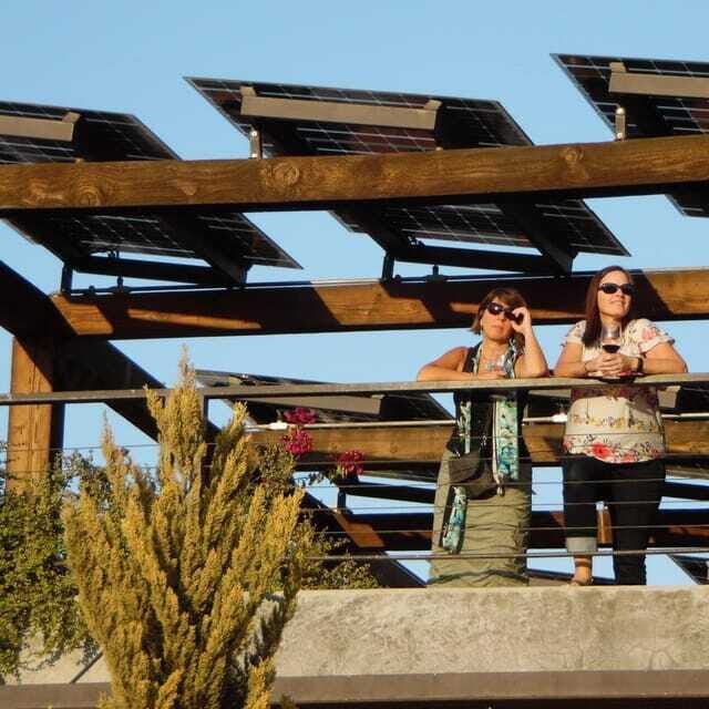 Ensenada: Old Wine Route Tour with 4 Winery Visits - The Experience from Past Travelers