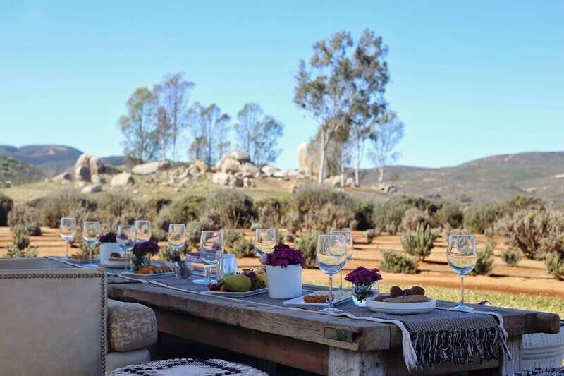 Ensenada: Picnic in Lavender Fields at Aires de Lavanda - FAQs