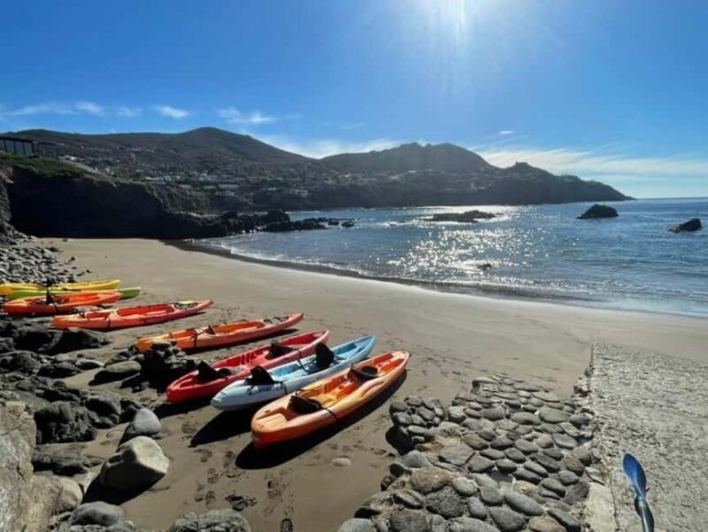 Ensenada: Private Kayak Tour to La Bufadora W/Transfer - An Overview of the Kayak Experience