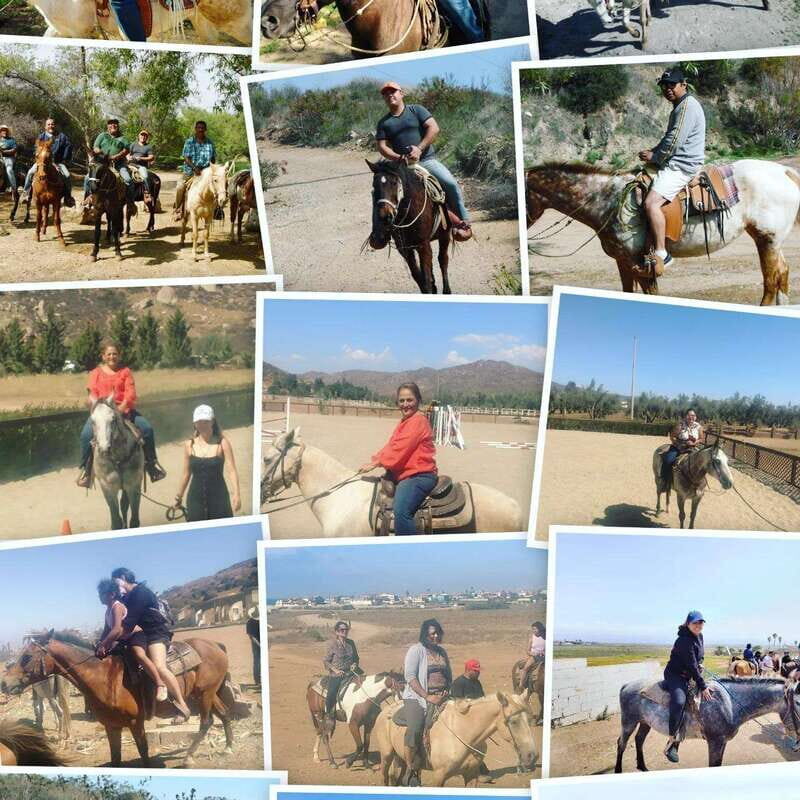 Ensenada: Punta Banda Horseback Riding Tour - Key Points